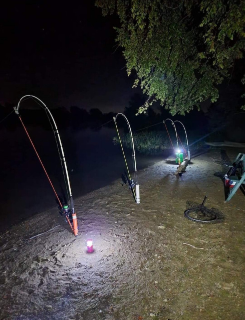 GUARD DOG AUTOMATIC FISH HOOKER