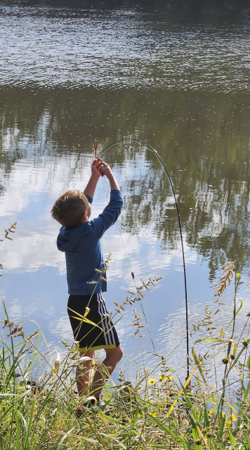 GUARD DOG AUTOMATIC FISH HOOKER