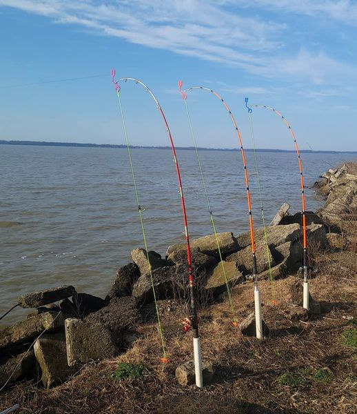 GUARD DOG AUTOMATIC FISH HOOKER