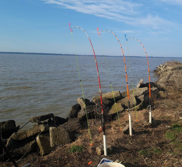 GUARD DOG AUTOMATIC FISH HOOKER